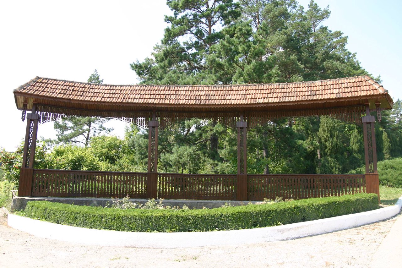 Top 3 Rezervații Naturale care merită vizitate în această primăvară