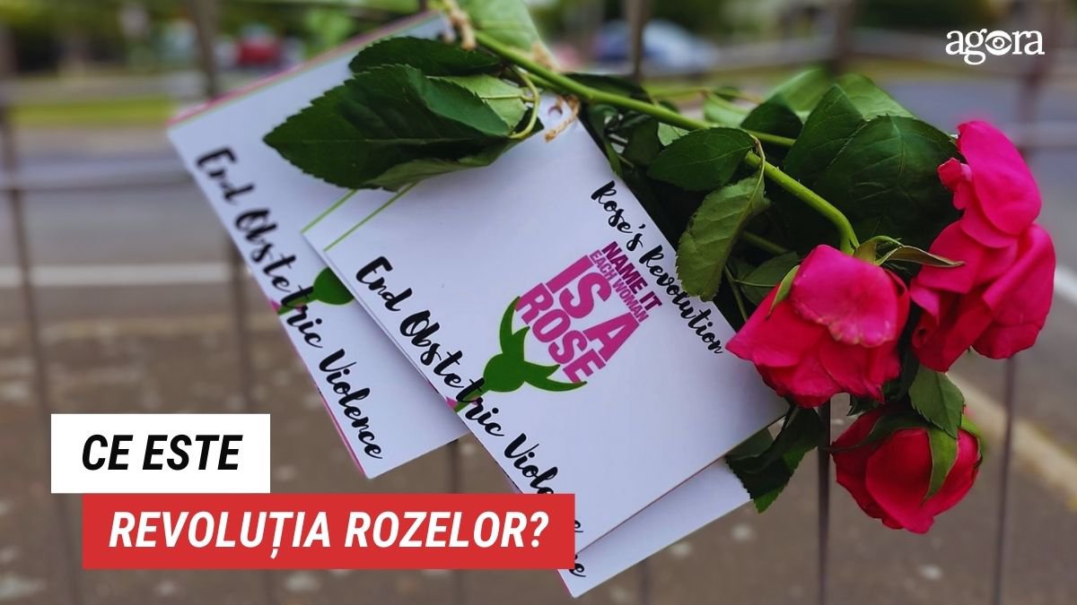 Revoluția Rozelor. Cum a luat naștere mișcarea și ce impact a avut ...