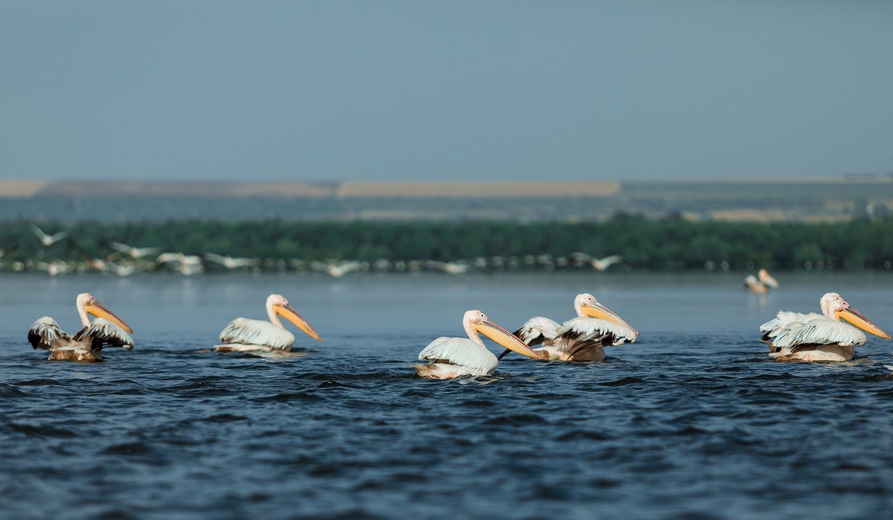 Premieră pentru Moldova! Satul Văleni, recunoscut drept unul dintre ...