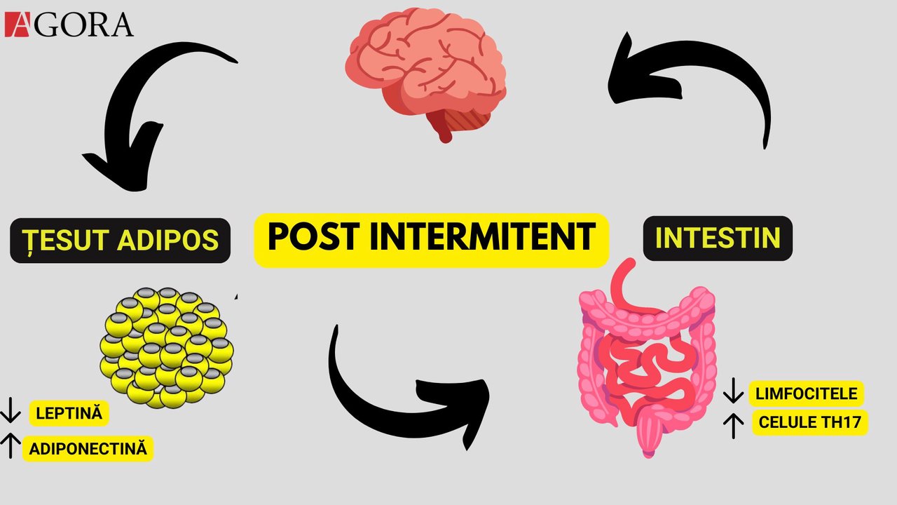 Postim sau nu postim? Ce este Fasting-ul și cu ce se mănâncă cel mai ...