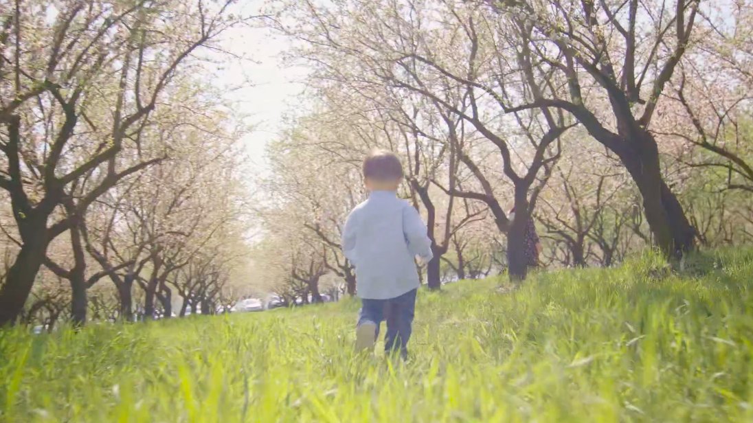 Soții Cerneanu, despre livada de migdali din Moldova: „Este o ...