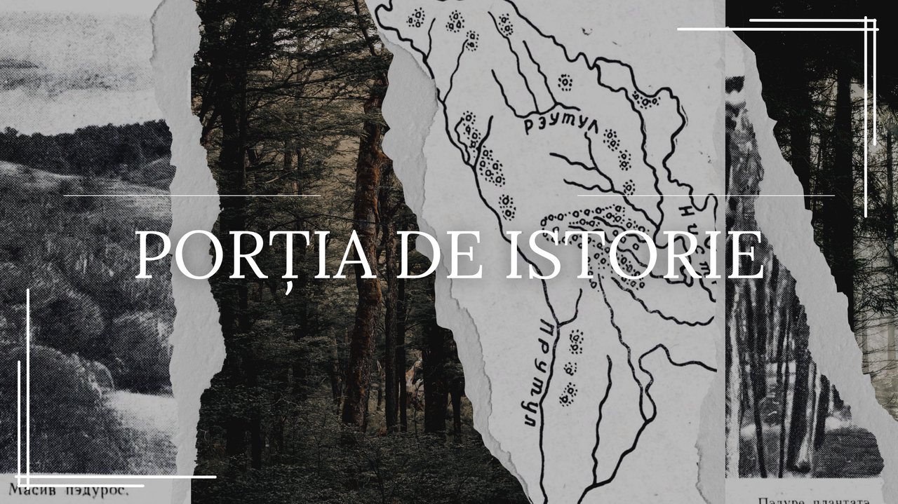 PORȚIA de istorie | De la Codrii Moldovei la marile defrișări ...