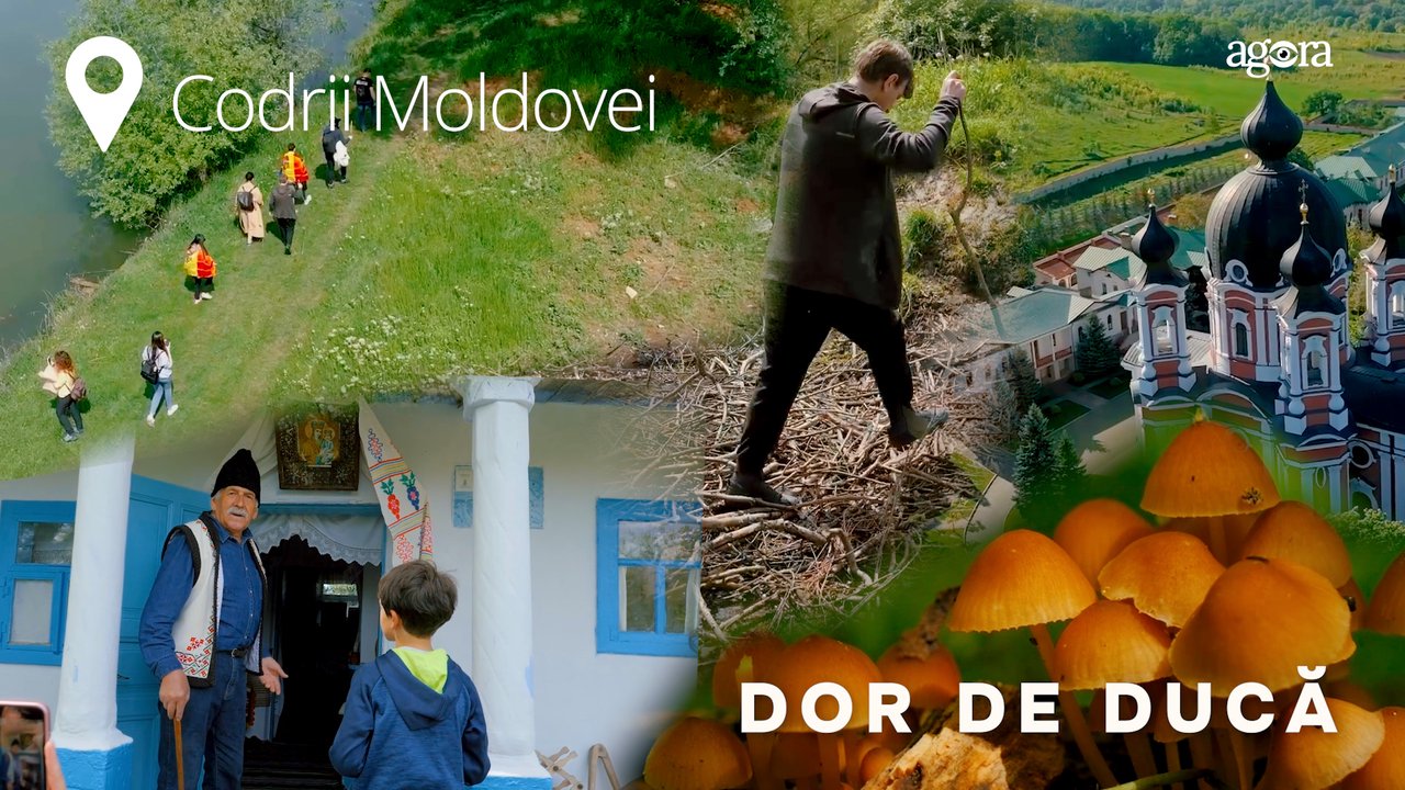 Dor de ducă: Hai(k) prin Codri cu jurnaliștii AGORA (VIDEO)